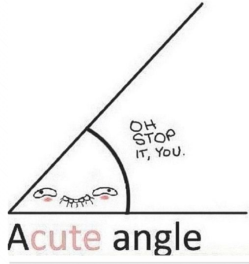 Geometry Puns