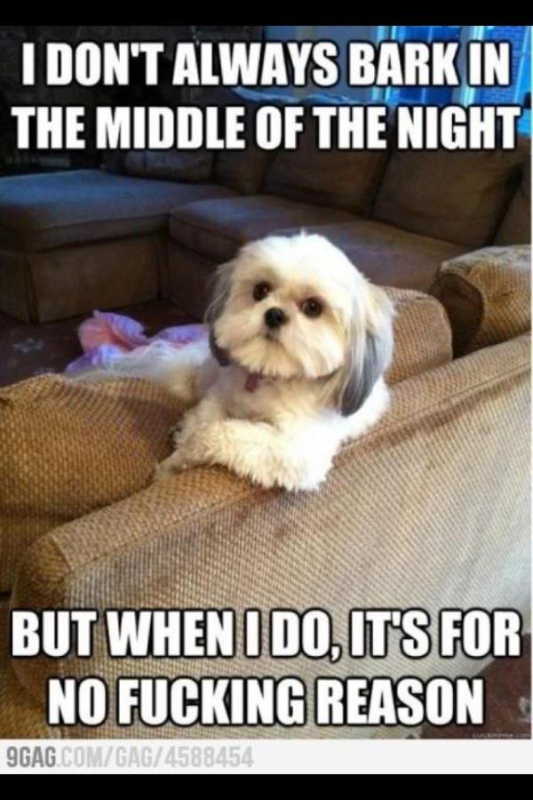 Patsy Stowe (@Wheres_patsy) | Twitter