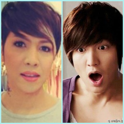 Vice Pogi Lee Min Horse