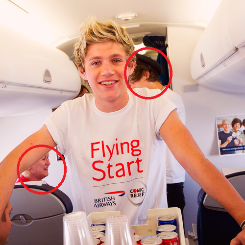 directioner∞ (@infinite_cats) | Twitter