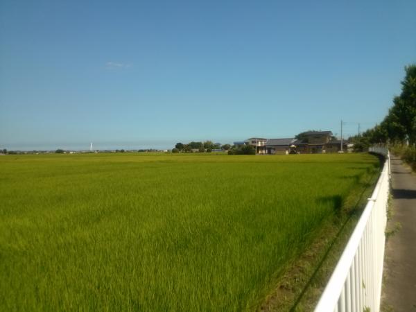 きわみんの帰省by bike - posfie