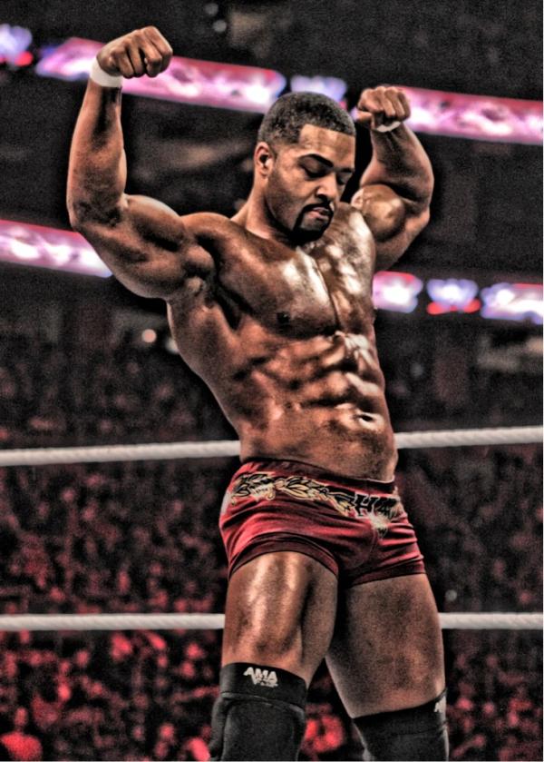 Culturisme David Otunga