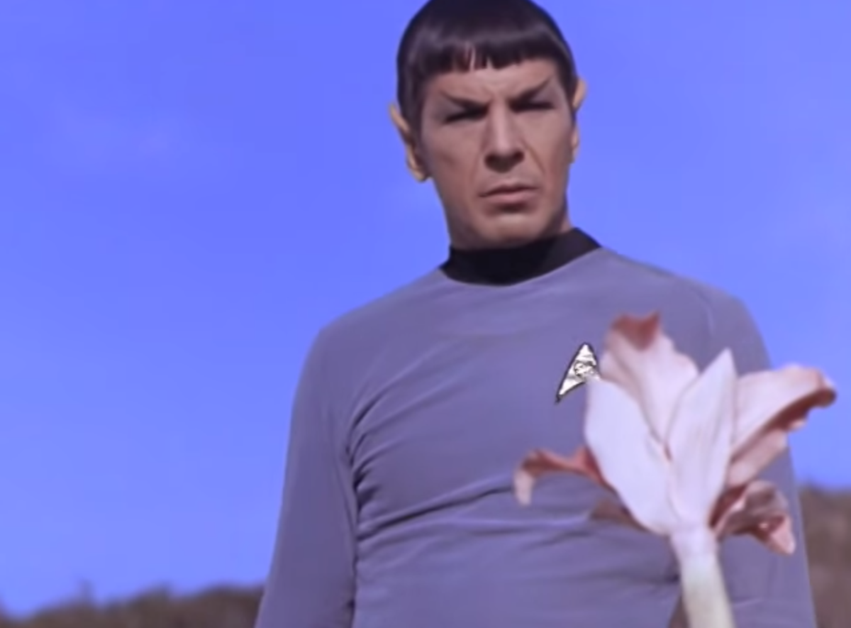 Spock - the early years: A look at the original Star Trek | ITV News ...