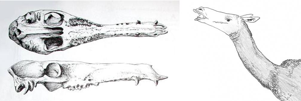 Tunes' wishlist - Page 3 - The ZT2 Round Table