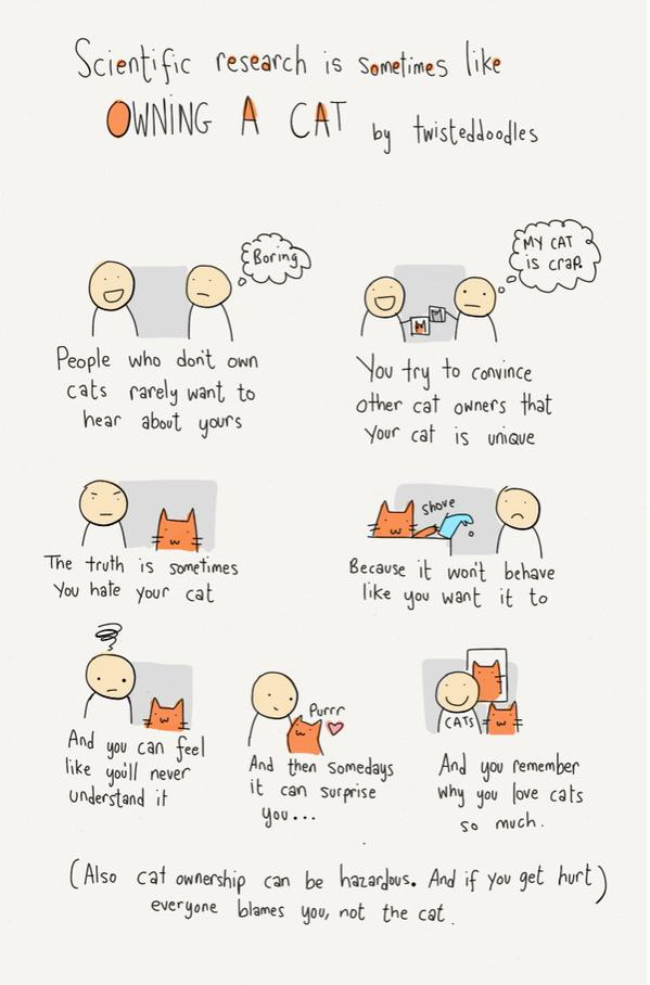 Funny on Sunday: Scientific research is sometimes like owning a cat ...