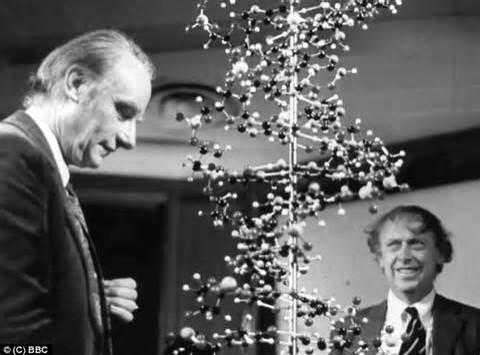 On this date in 1953: scientists james watson & francis crick ...