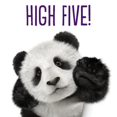 Panda High Five