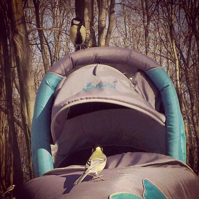 Taras Fedorov (@TarasFedorov) | Twitter