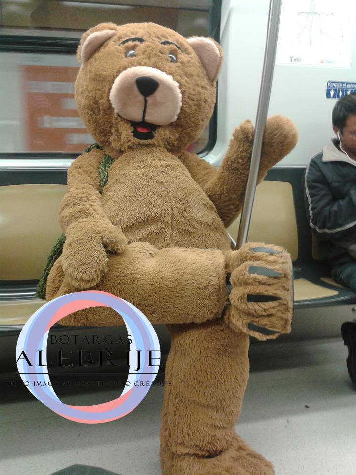 Como Hacer Botarga Oso Ted｜Búsqueda De TikTok, 43% OFF