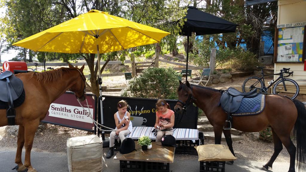 Smiths Gully Store (@SmithsGullyStor) | Twitter