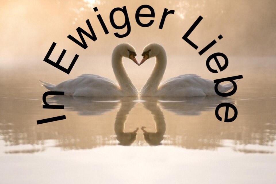 Daniel Heindl's Instagram, Twitter & Facebook on IDCrawl