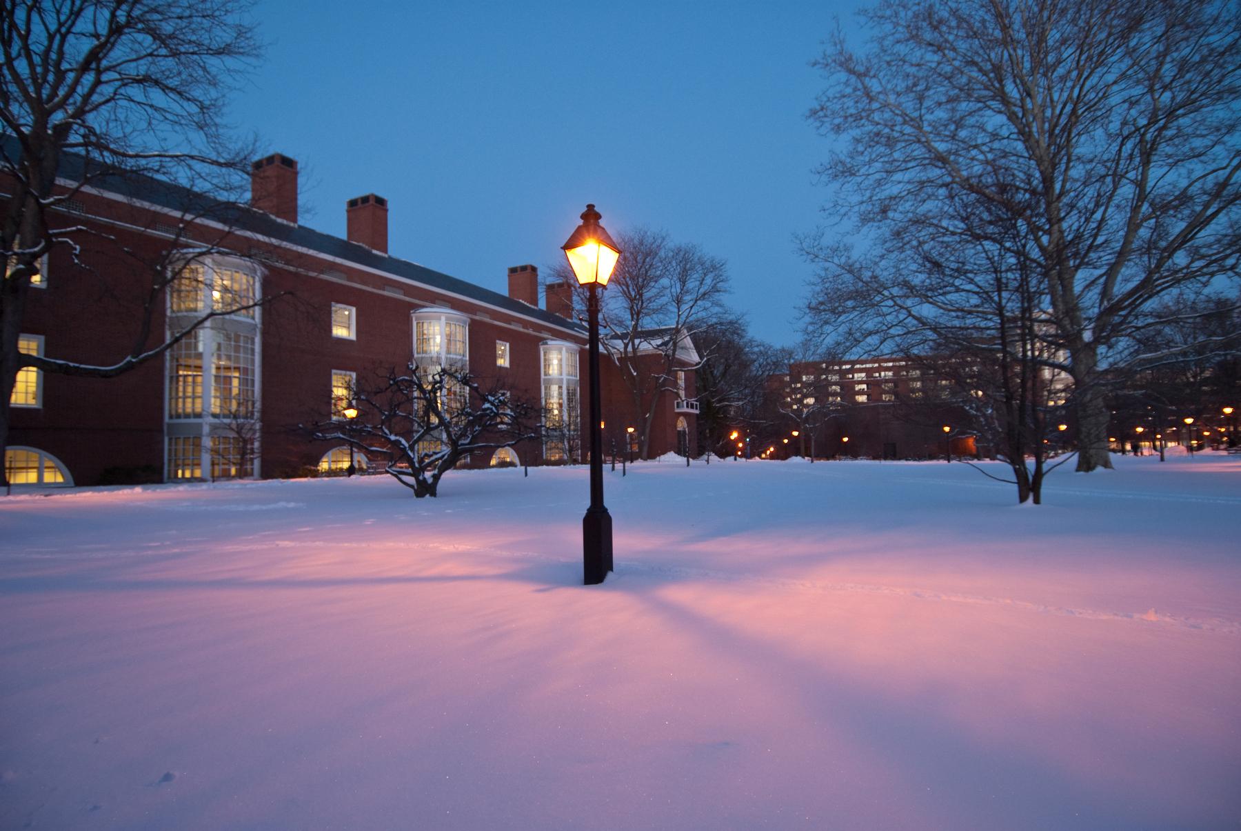 Harvard Campus Winter