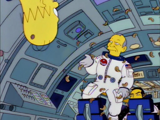 You fool! Now we may never know if ants can be trained to sort tiny ...