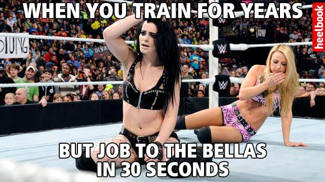 Wwe Diva Meme