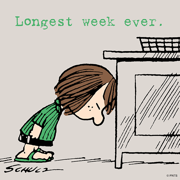 Peanuts Quotes Work. QuotesGram