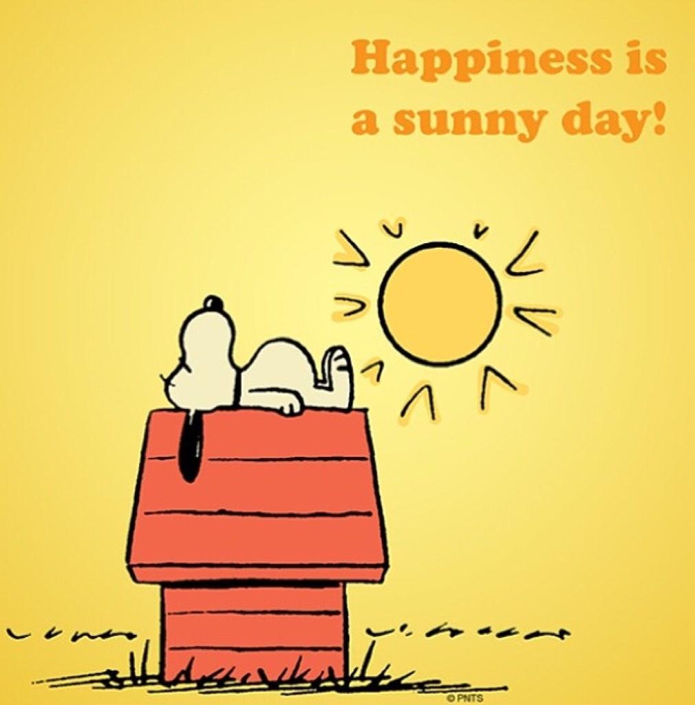 Lovely Sunny Day Quotes 30+ Best Spring Quotes Inspirational And