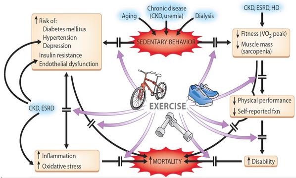 Reduce Chronic Disease