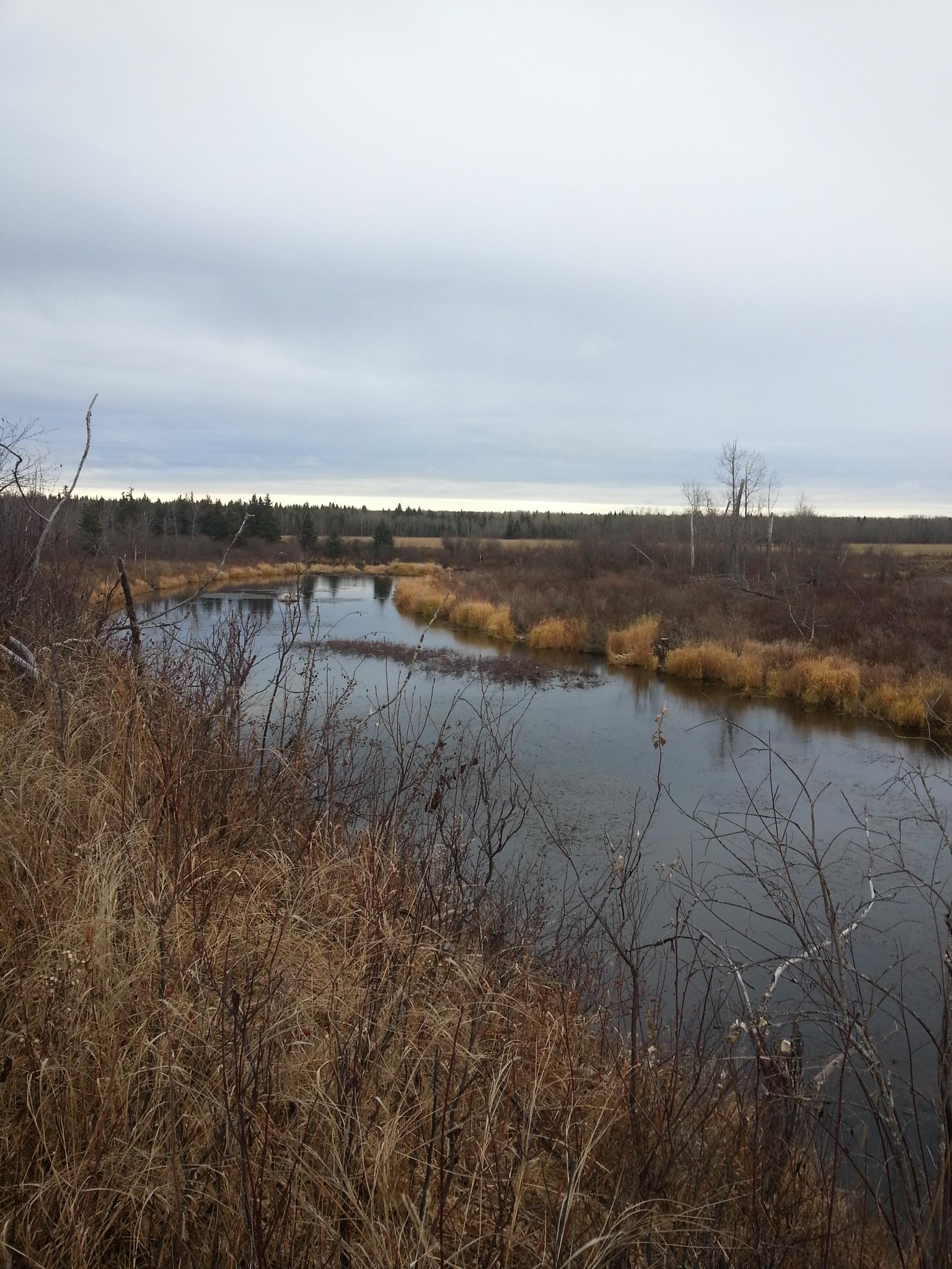 Hunting Scenery | Page 10 | Archery Talk Forum