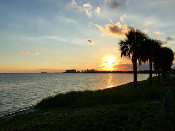 Asha Holla (@AshaHolla) | Twitter