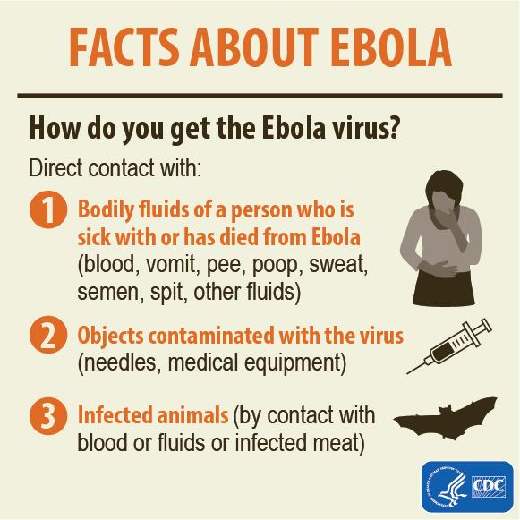 T1. Ebola virus is spread through direct contact w/ blood or body ...