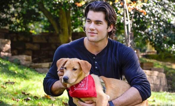 Tom Wilson Capitals With Puppies
