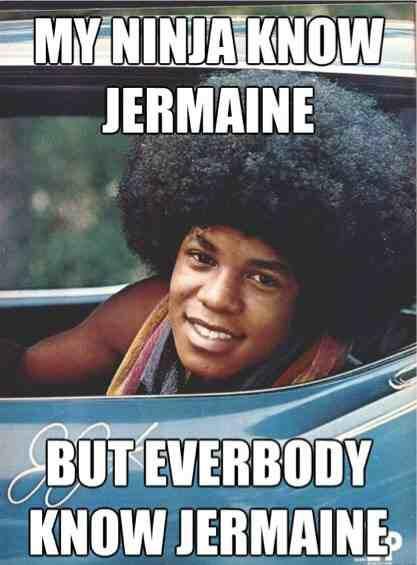 My Ninja Meme