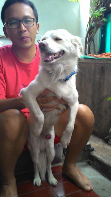 Ignatius doddy (@ignatius_doddy) | Twitter