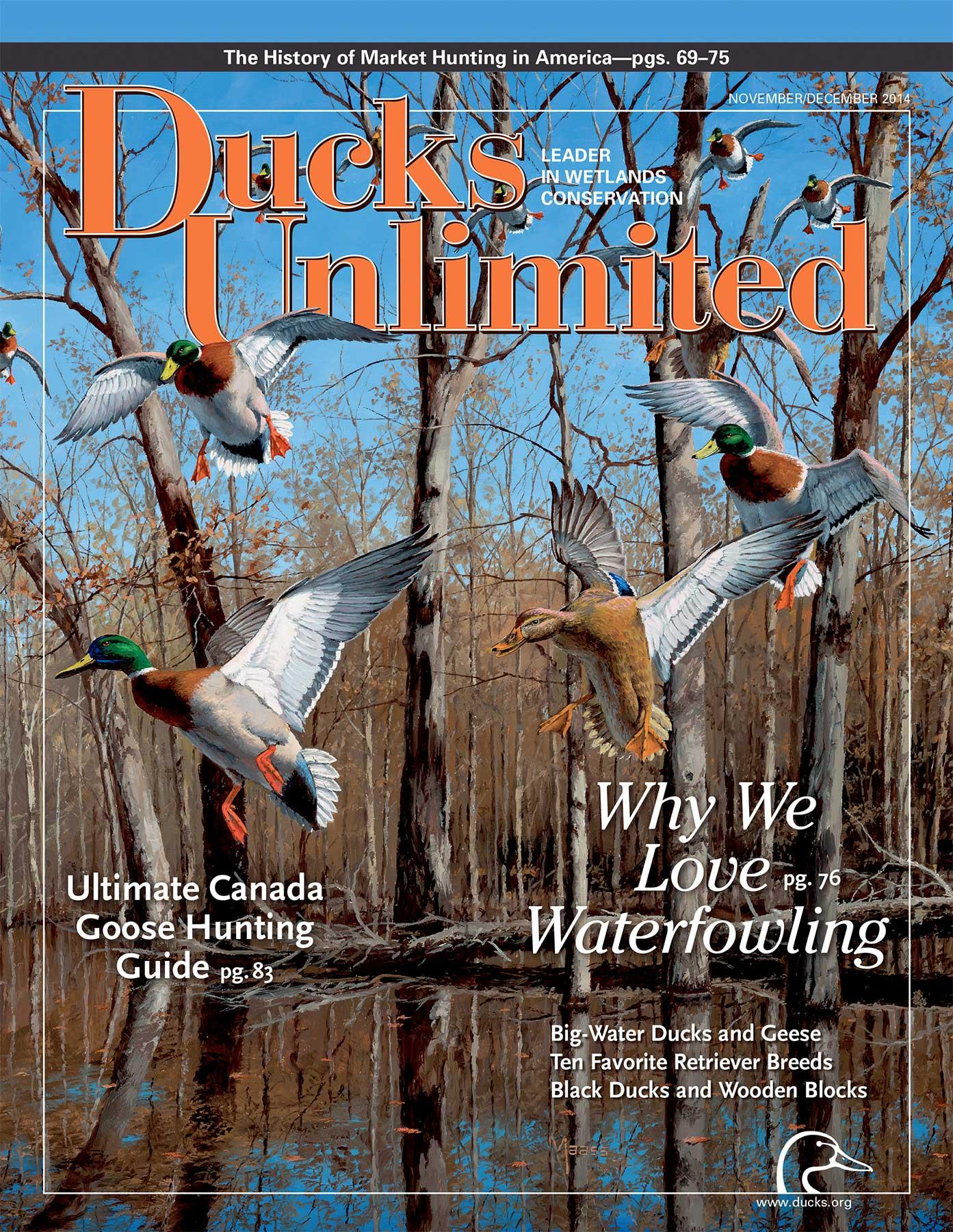 Ducks Unlimited Love