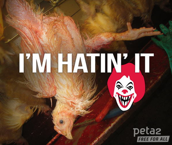 .McDonalds McCruelty, boiling chickens alive for your unhappy meals ...