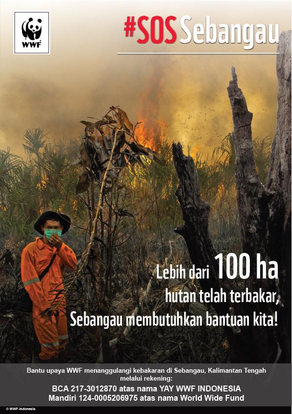 Memes Kebakaran Hutan Indonesia Rumah Agnez Mo Di Los Angeles Terbakar