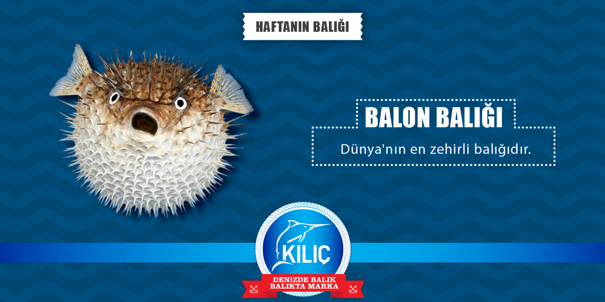 Dunyaninenzehirlibaligi