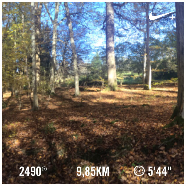 Pascal (@ph3nx) | Twitter