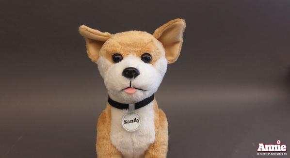 What Kind Of Dog Is Sandy From Annie