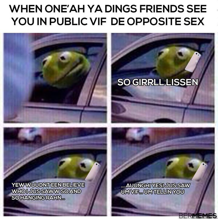 Kermit The Frog Rolling Up Window