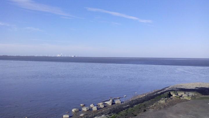 Peter Knol, PA1SDB on Twitter: "Vanmiddag geprobeerd #kinkhoorn / #alikruik te plukken in # ...