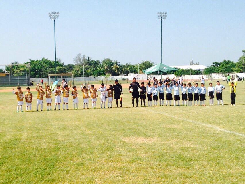 Ana Sofía Félix (@AnaSofia_Felix) | Twitter