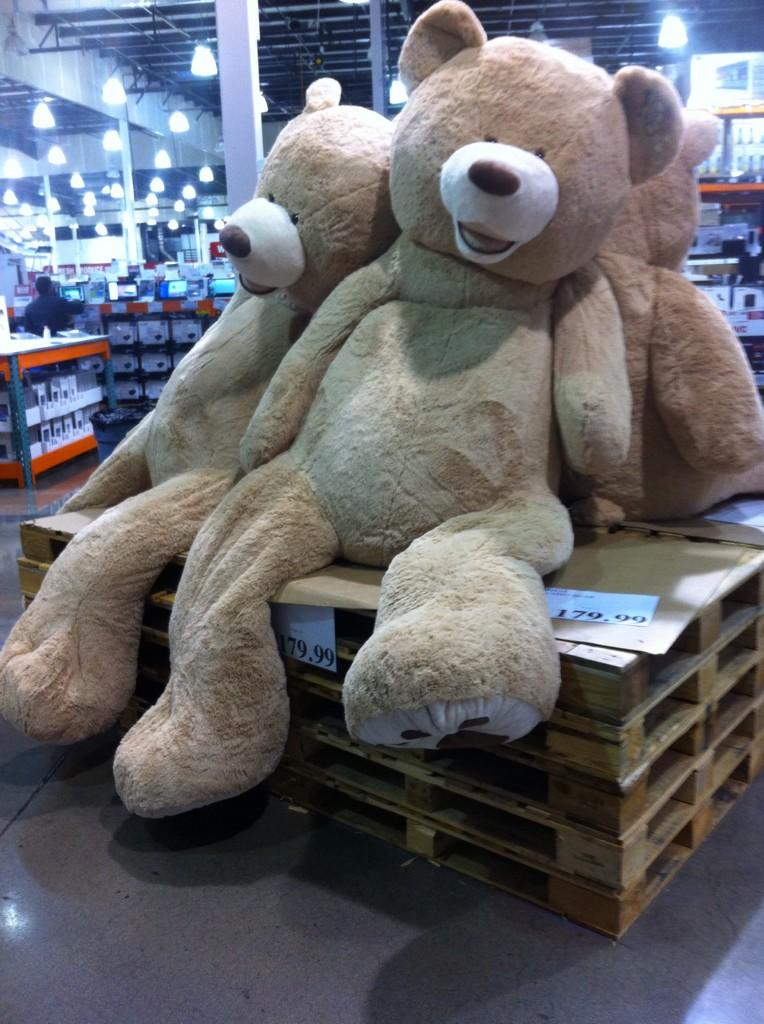 Since all you cute and tall guys live so far from me, this teddy bear ...
