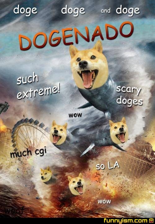 Doge Wow Poster
