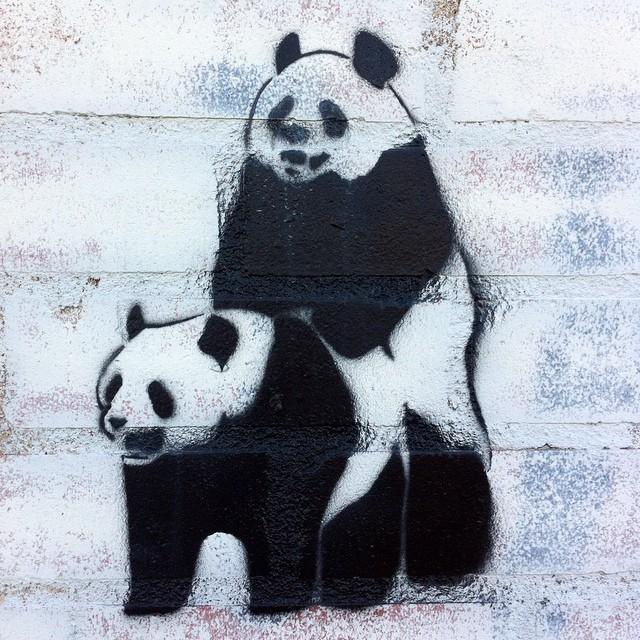 Graffiti Panda