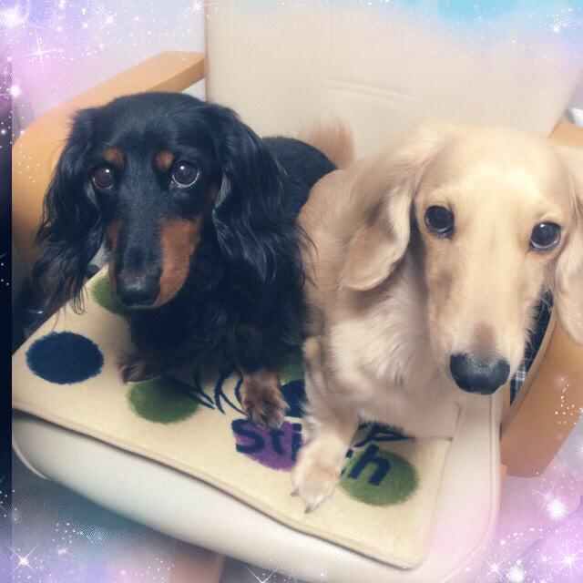 結夢 (@yumerin_rin) | Twitter