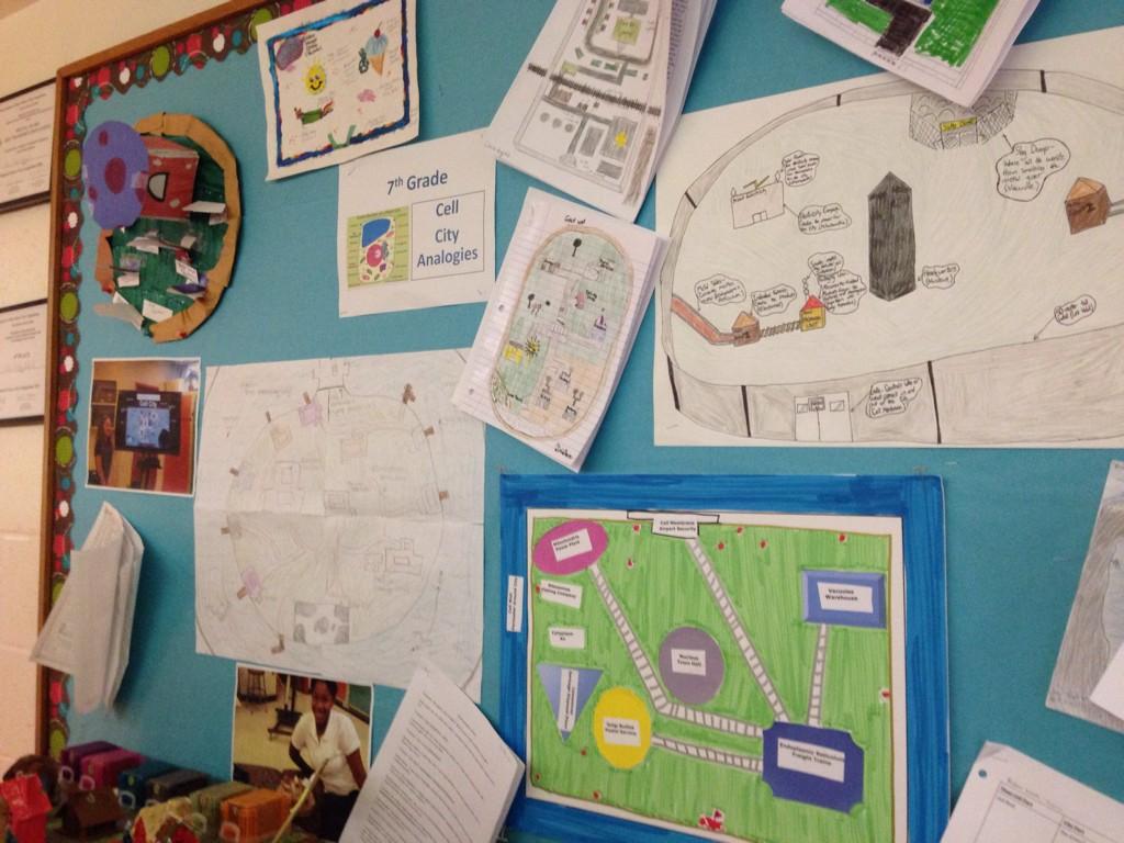 Cell City Project Model