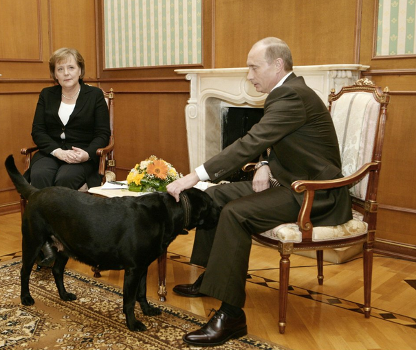 Merkel-Putin: Germany can't say if Merkel-Putin meet at G-20 - depends ...