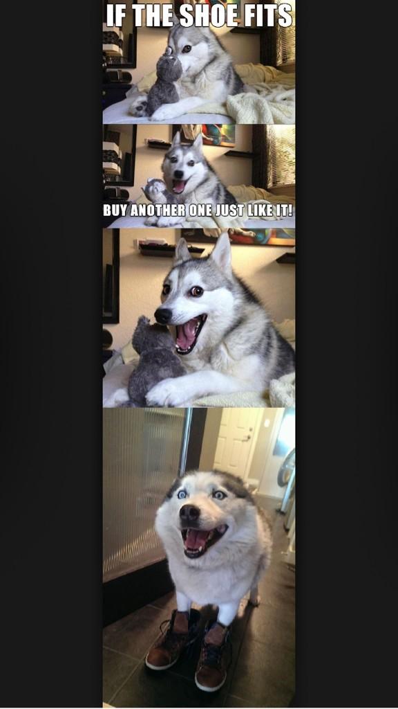 Bad Joke Husky