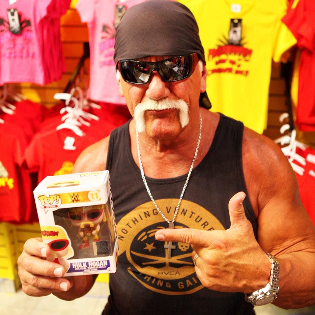 Hulk Hogan Hey Brother