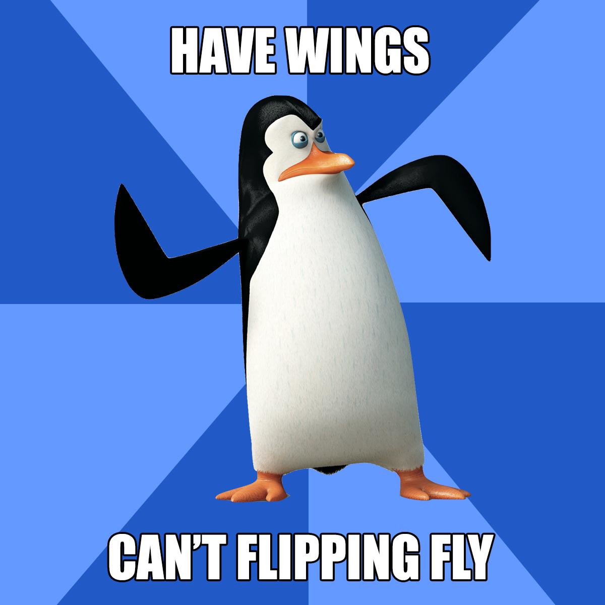 No Flying Penguins