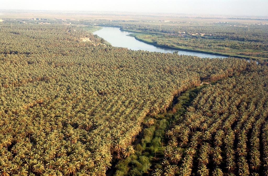 Iraq Pictures @IraqPics | Klear