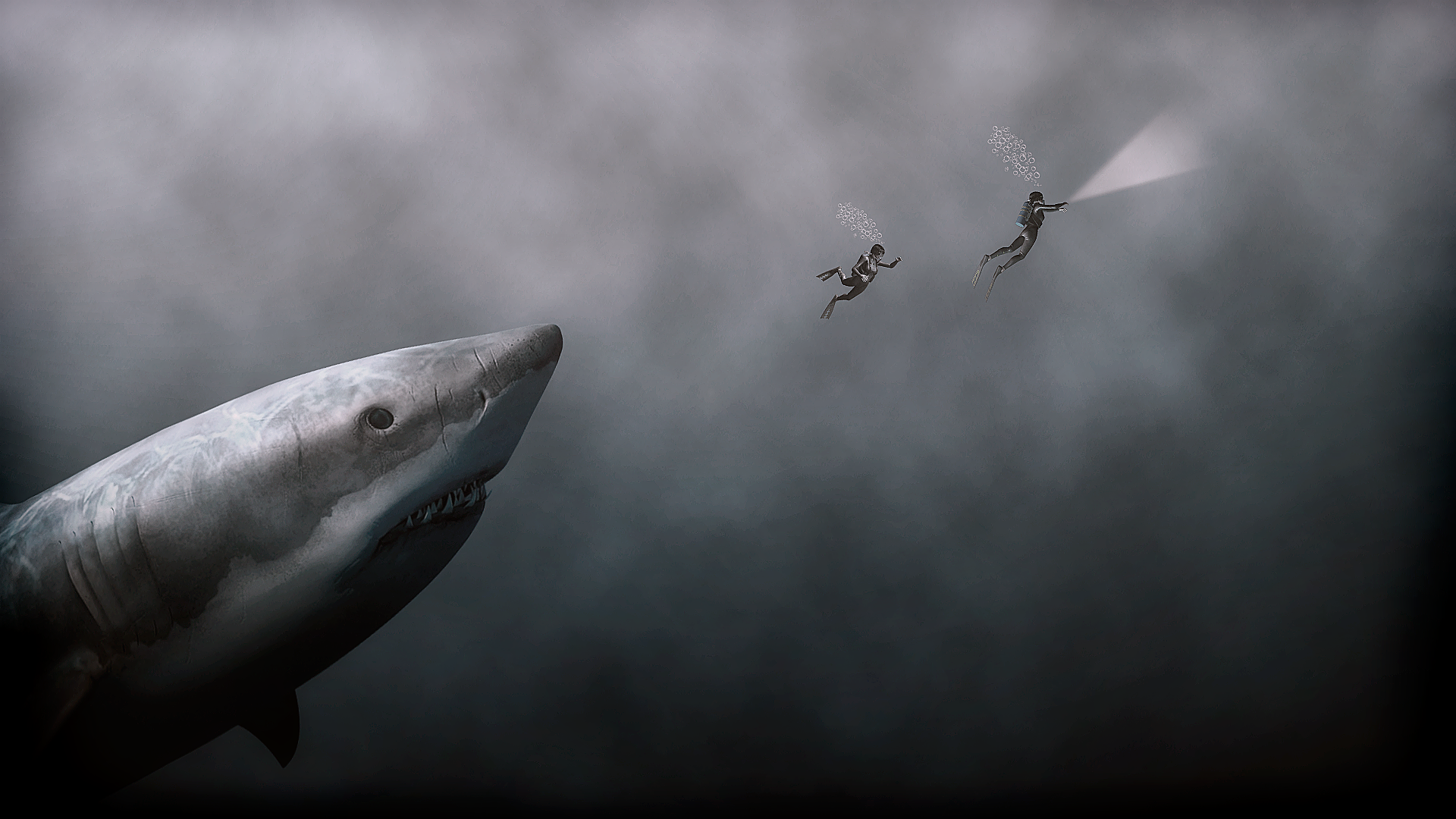 Shark Photoshop