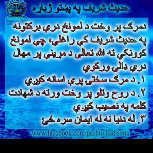 sahand sahand (@Sahand2021) | Twitter