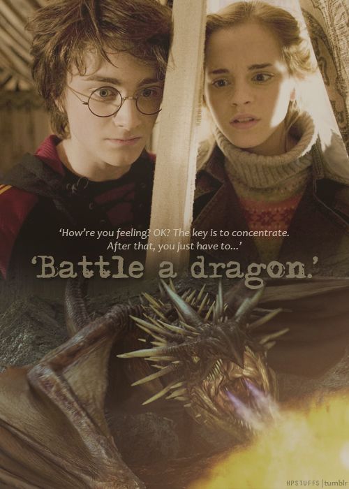 Triwizard Tournament First Task