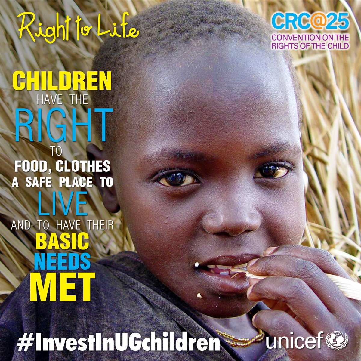 Basic Needs Of Life Food Shelter